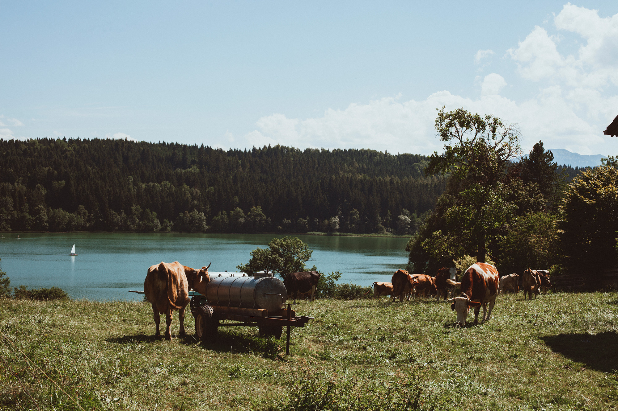 When love is a world away: Elli and Terry marry at German castle ...