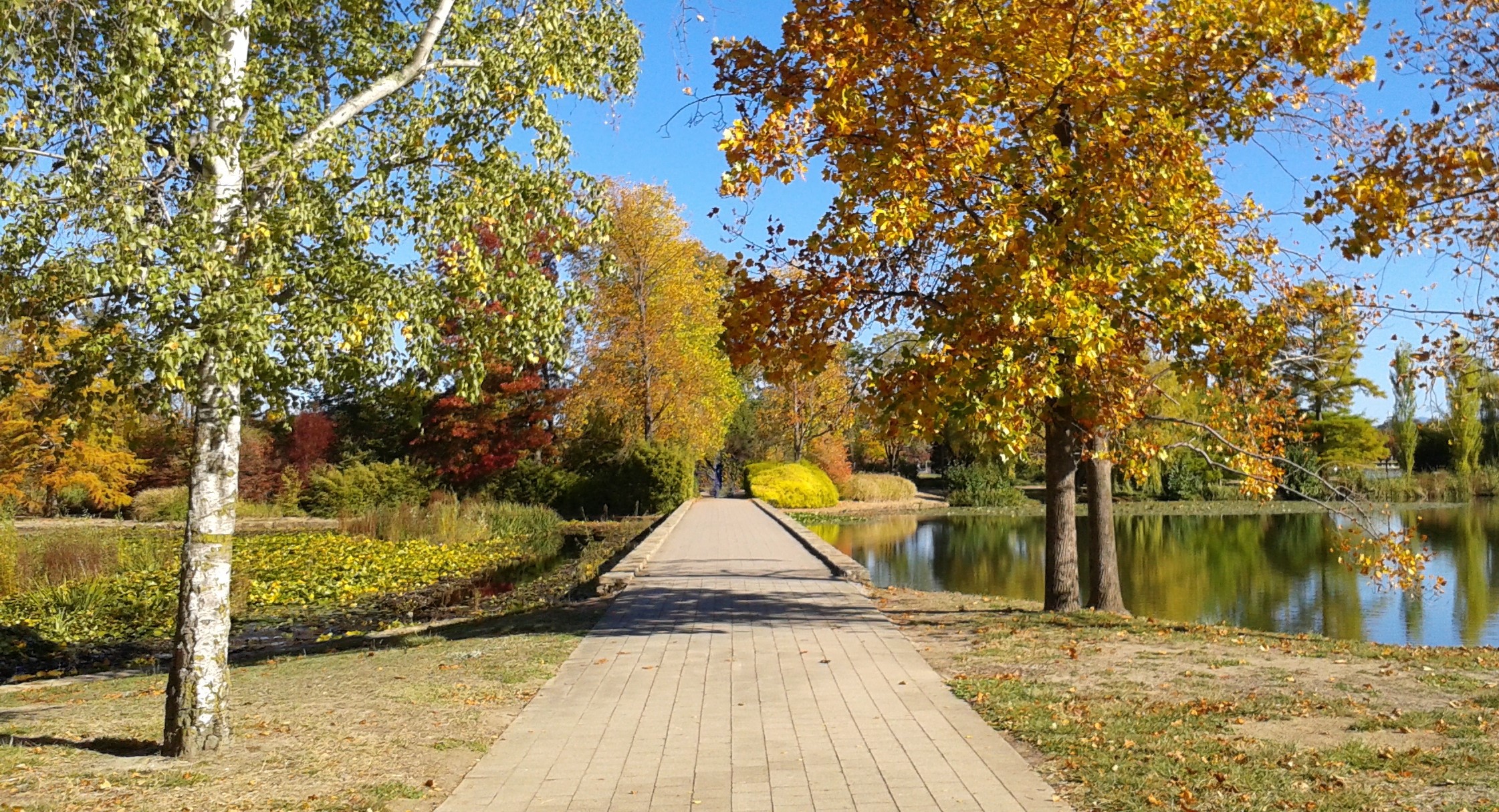 Commonwealth Park , ACT Wedding Locations , Easy Weddings