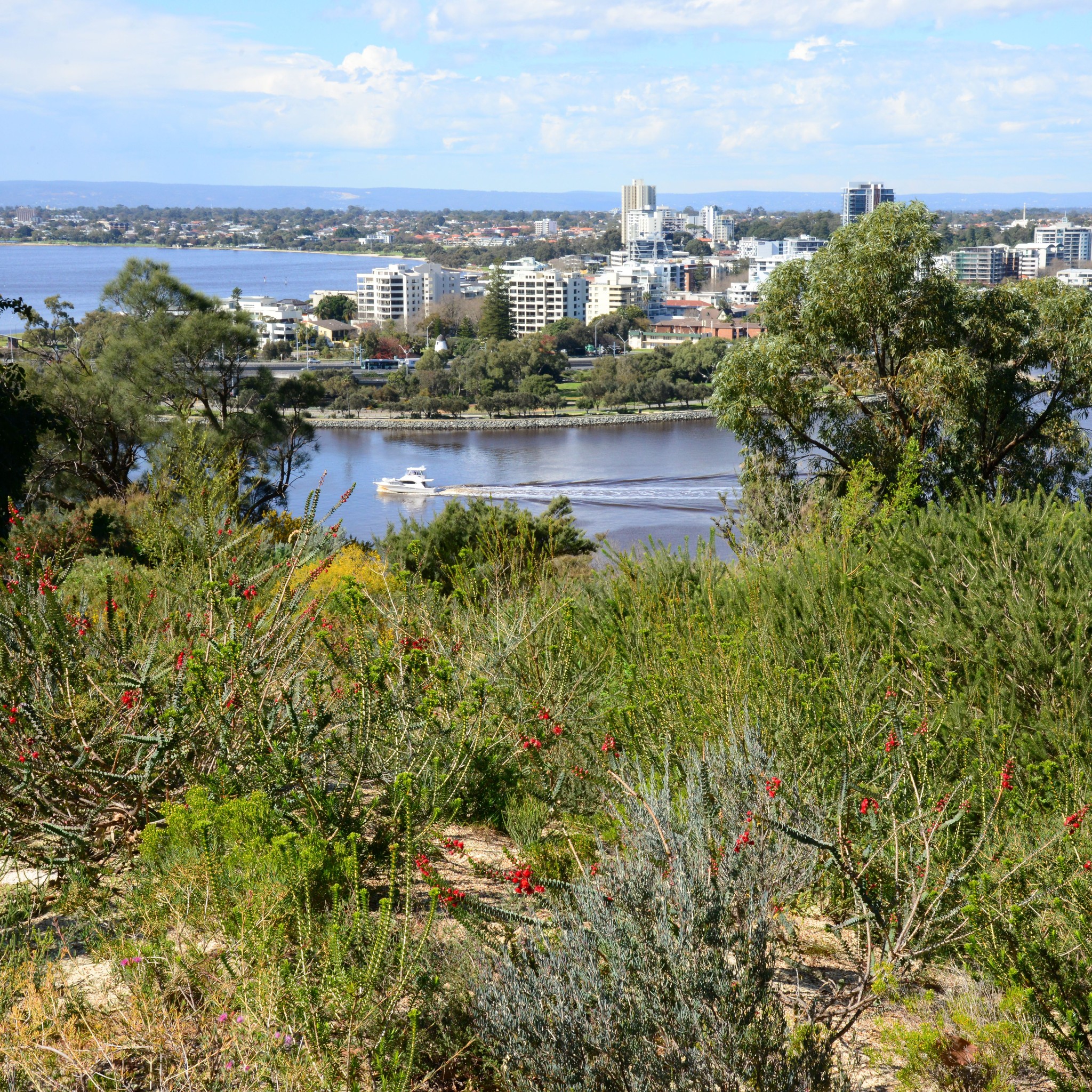 Kings Park | Easy Weddings Locations