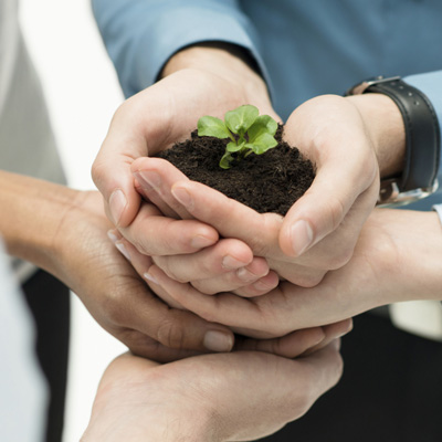 The four key steps in helping your business grow | Easy Weddings