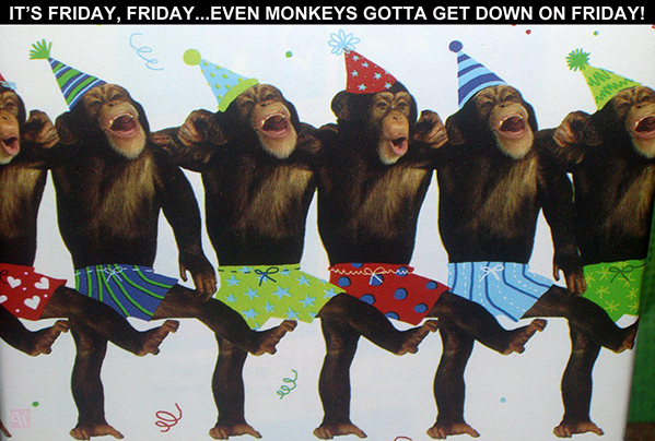Friday monkeys 🙂 | Easy Weddings UK